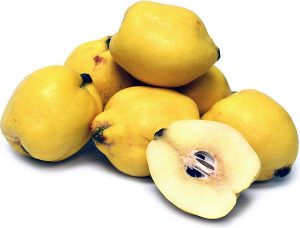 Saveti za uzgoj dunja | Seoski Poslovi - Portal o poljoprivredi